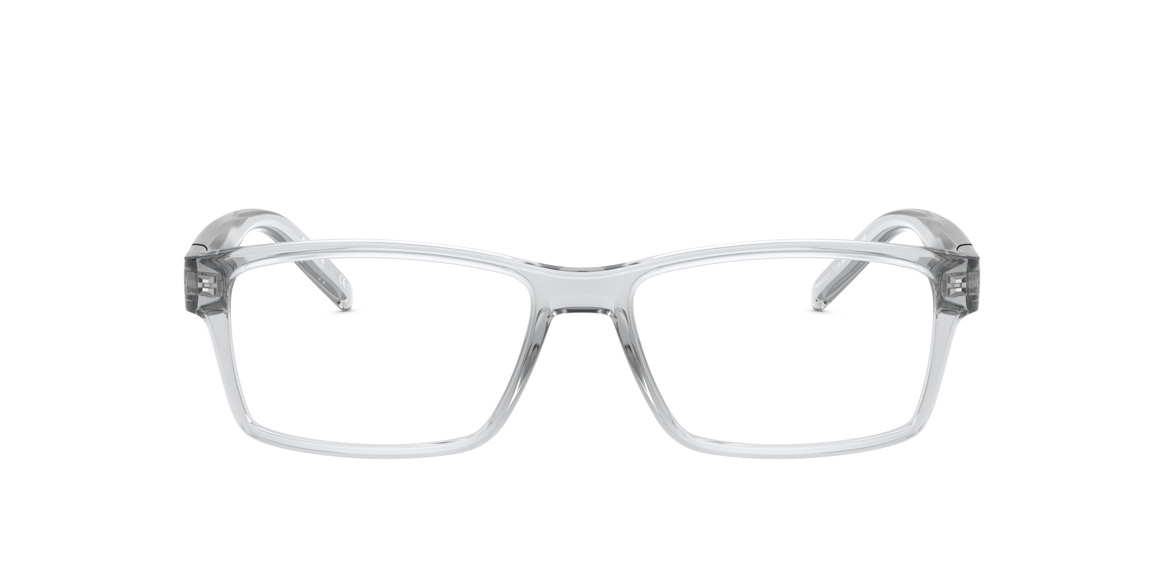 LEONARDO Eyeglasses In Demo Lens Arnette 
